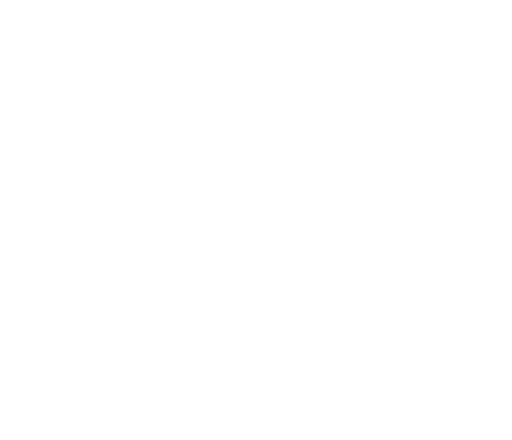 SHERWANI SETS - Shriansh